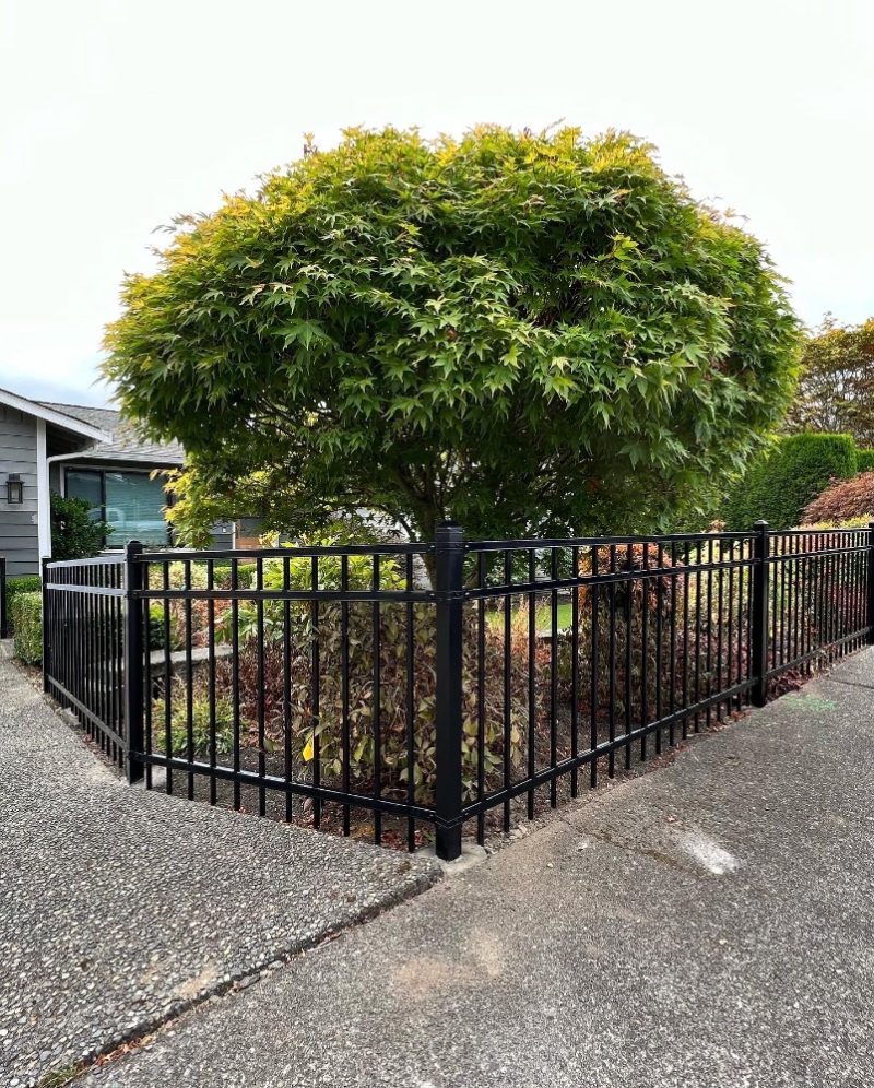 Seattle Cedar Fence, Seattle Iron Fence, Seattle Aluminum Fence | Sky ...