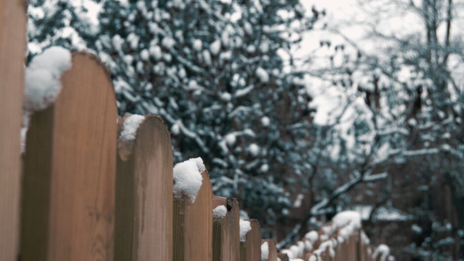 Comprehensive Guide to Washington Fence Laws: Know Before Installing ...